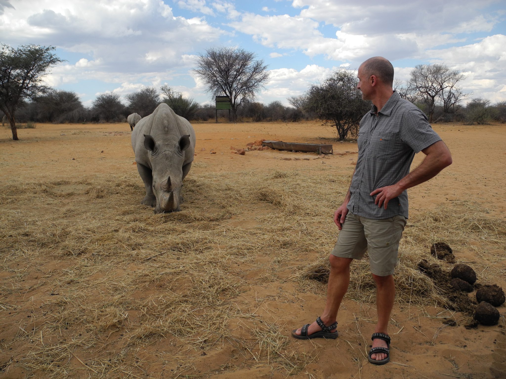 Waterberg Plateau - grüne Oase im trockenen Namibia - HANNS unterwegs